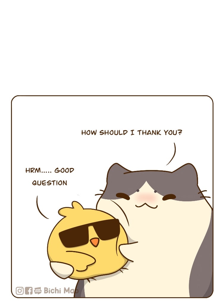 Read Bichi Mao :: Mochi Bird: Part Two | Tapas Comics