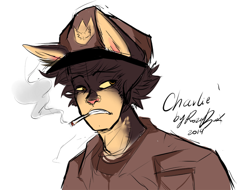 Read Raccoon Brothers :: Charlie | Tapas Comics