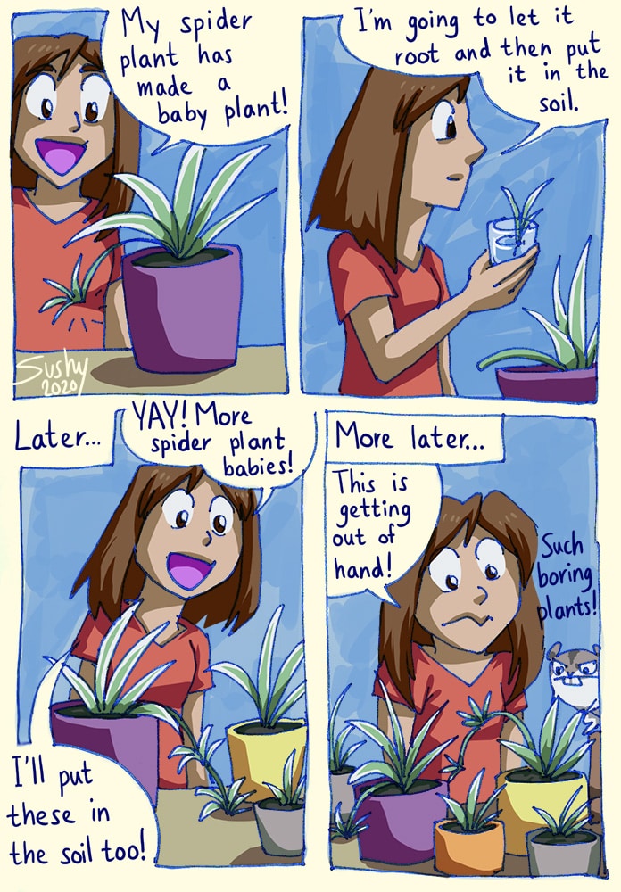 Read sushy :: 08222020 | Tapas Comics