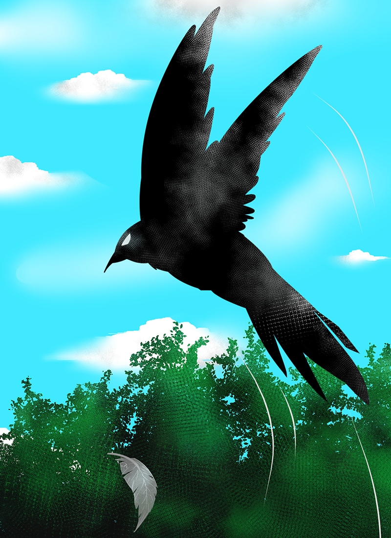 Read The Howling Castle :: Welcome | Tapas Community