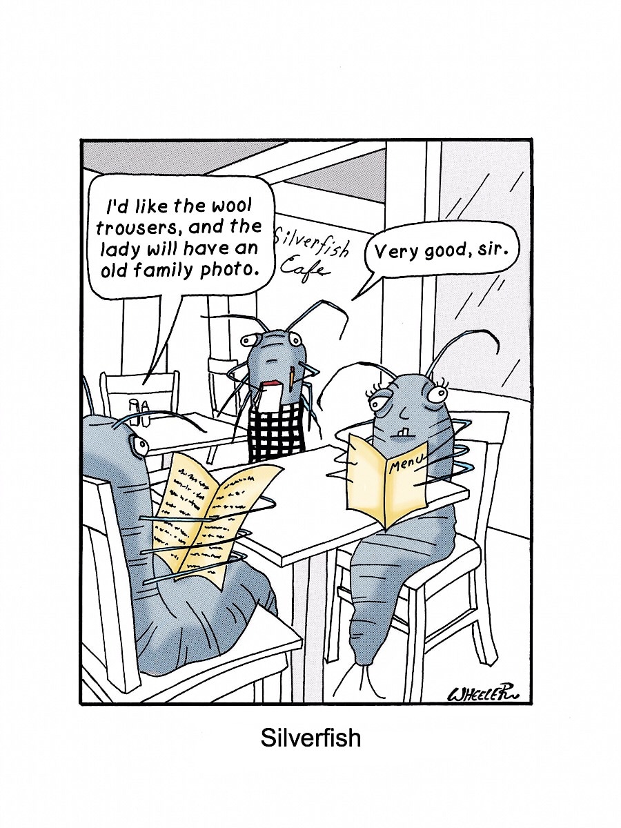 Read Big Fat Comics :: Silverfish | Tapas Comics