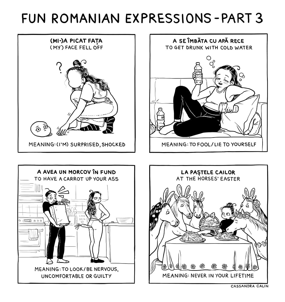 Read Cassandra Comics :: Fun Romanian Expressions - Part 3 | Tapas ...