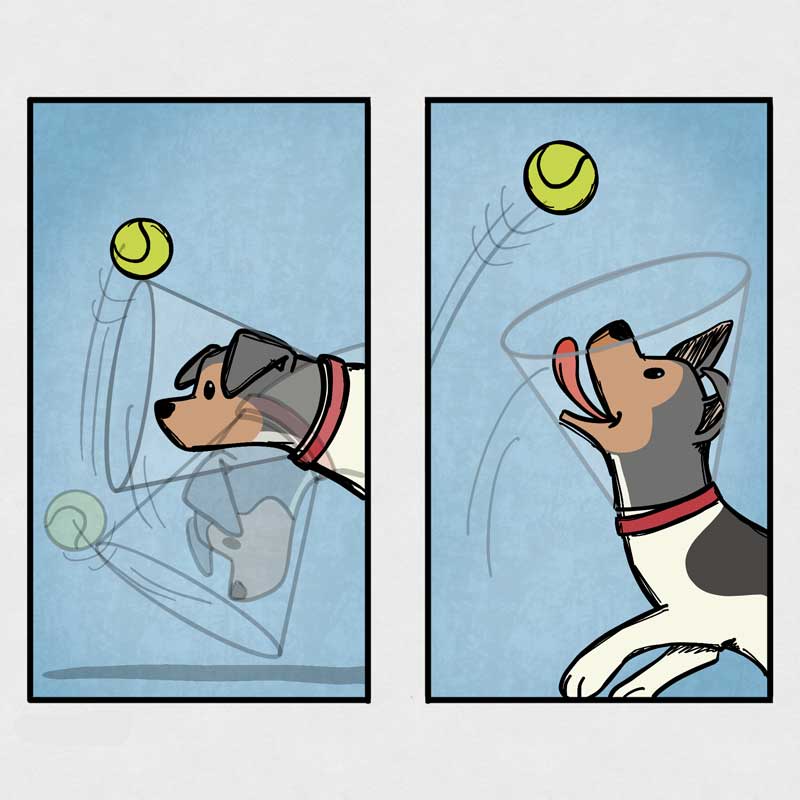 Read Hey Buddy Comics :: The cone | Tapas Community