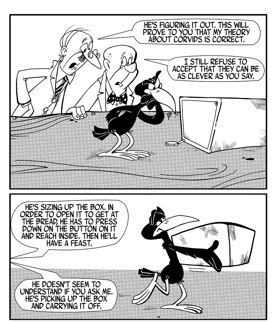 Read Stan The Crow :: Bread Head | Tapas Comics