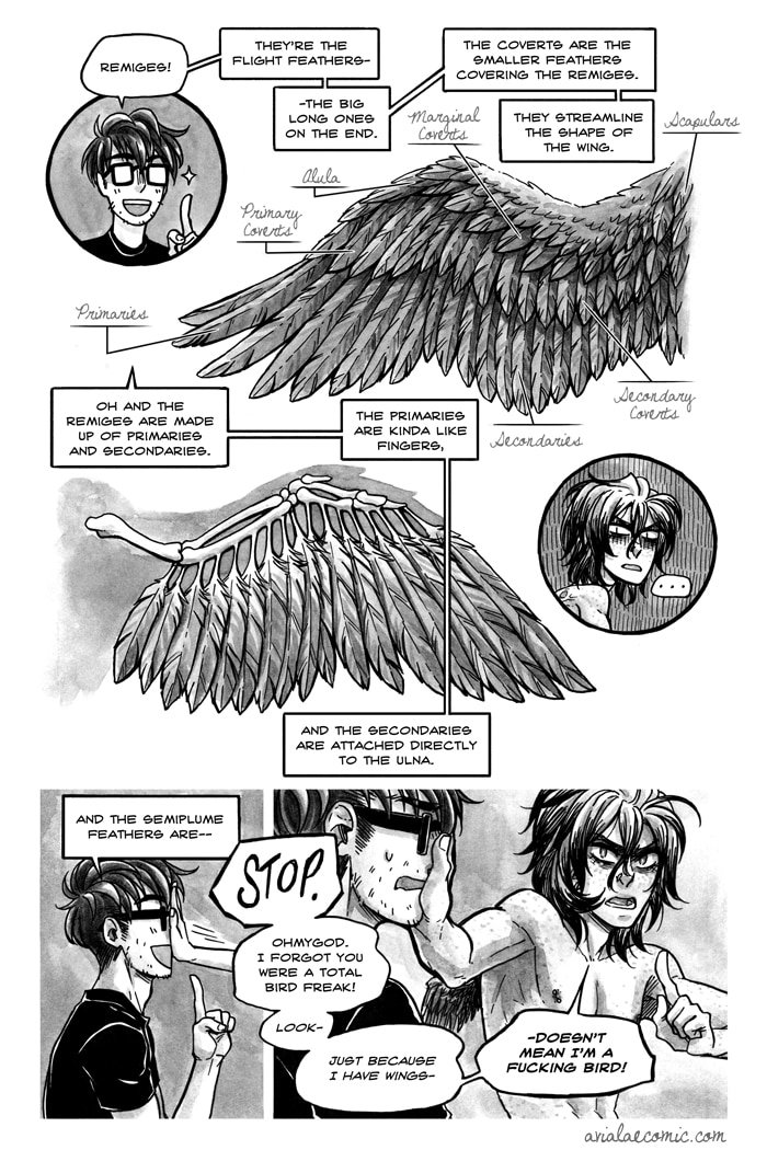 Read Avialae :: Avialae: Episode 3 | Tapas Community
