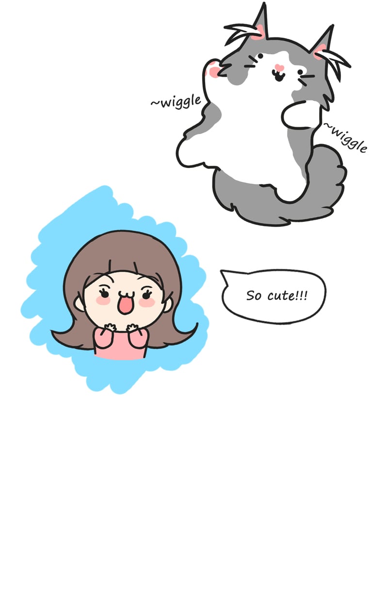 Read Jesse the Munchkin Cat :: How to Break Your Human | Tapas Comics