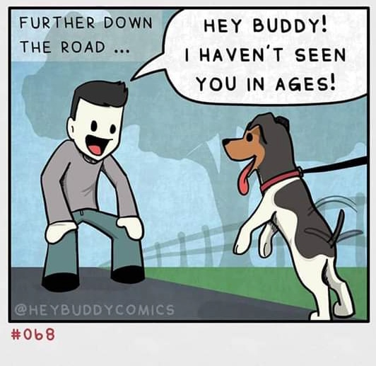 Read Hey Buddy Comics :: Friends: old and new | Tapas Community