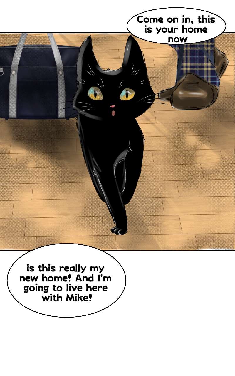 Read Kuro the cat girl and all this rumble :: Chapter 1 | Tapas Community