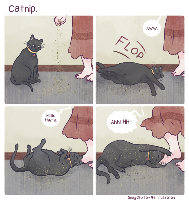 Read Snug Orbit :: Catnip ft. Hoshi | Tapas Community