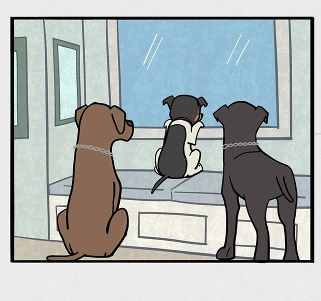 Read Hey Buddy Comics :: The couch | Tapas Community