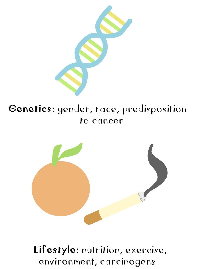 Read Cancer Decoded: Basics :: Cancer Disparities (Part 2) | Tapas Comics