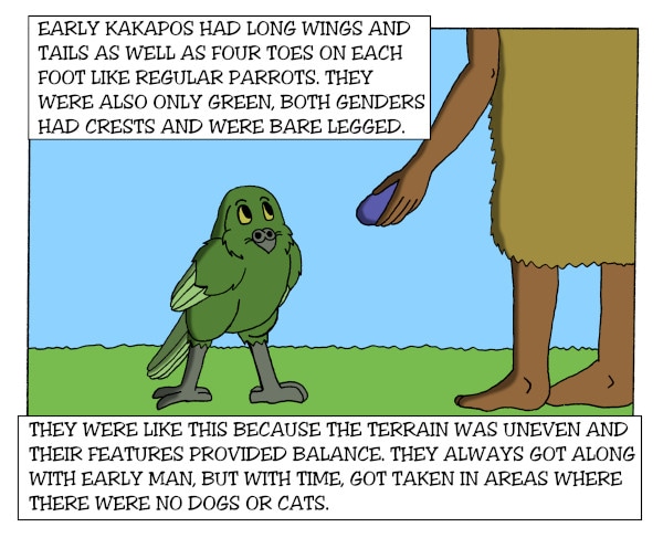 Read Word is the Bird :: Evolution of the Kakapo | Tapas Community