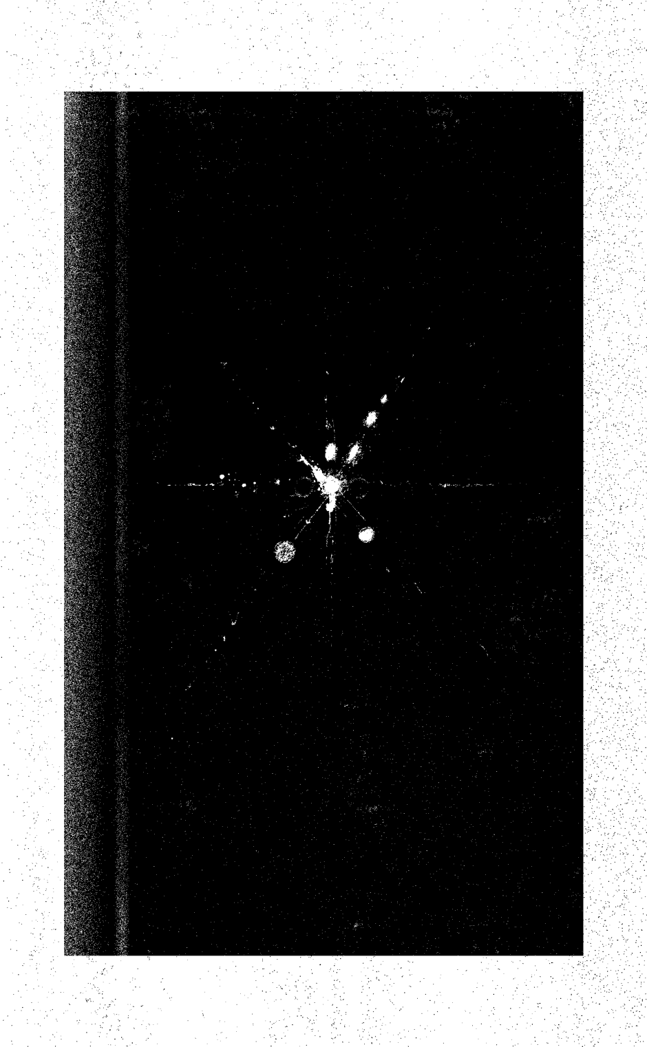 Read Zeta Reticulans :: Walking off a Nightmare | Tapas Community