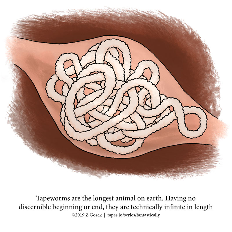 Read Fantastically False Facts About Amazing Animals :: About Tapeworms ...