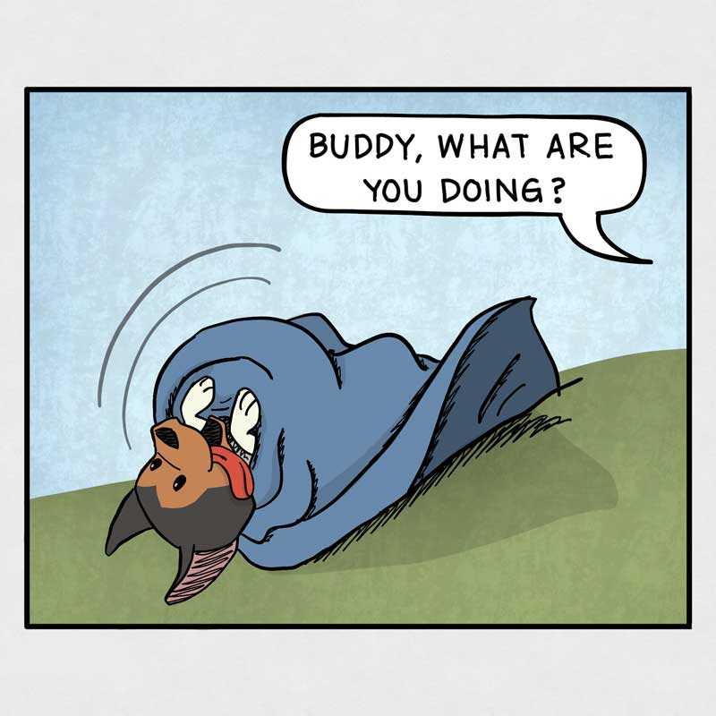 Read Hey Buddy Comics :: Laundry | Tapas Community