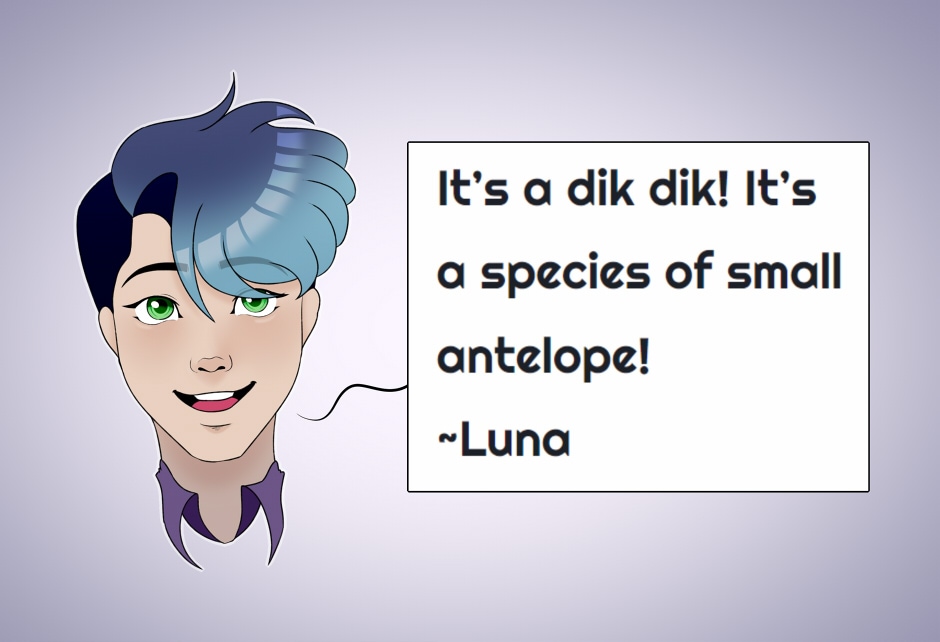 Read Anonymous Asexual :: Dik-Dik Pik | Tapas Community