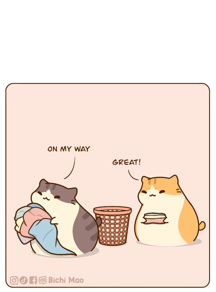 Read Bichi Mao :: Tidy up | Tapas Comics