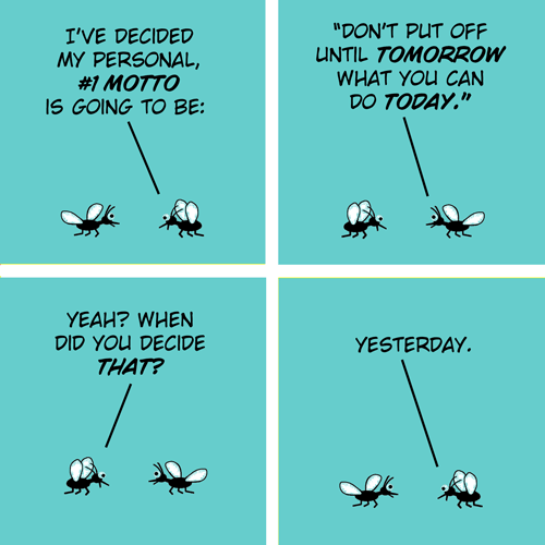 Read Dang Gnats! Cartoons :: #1 Motto | Tapas Community