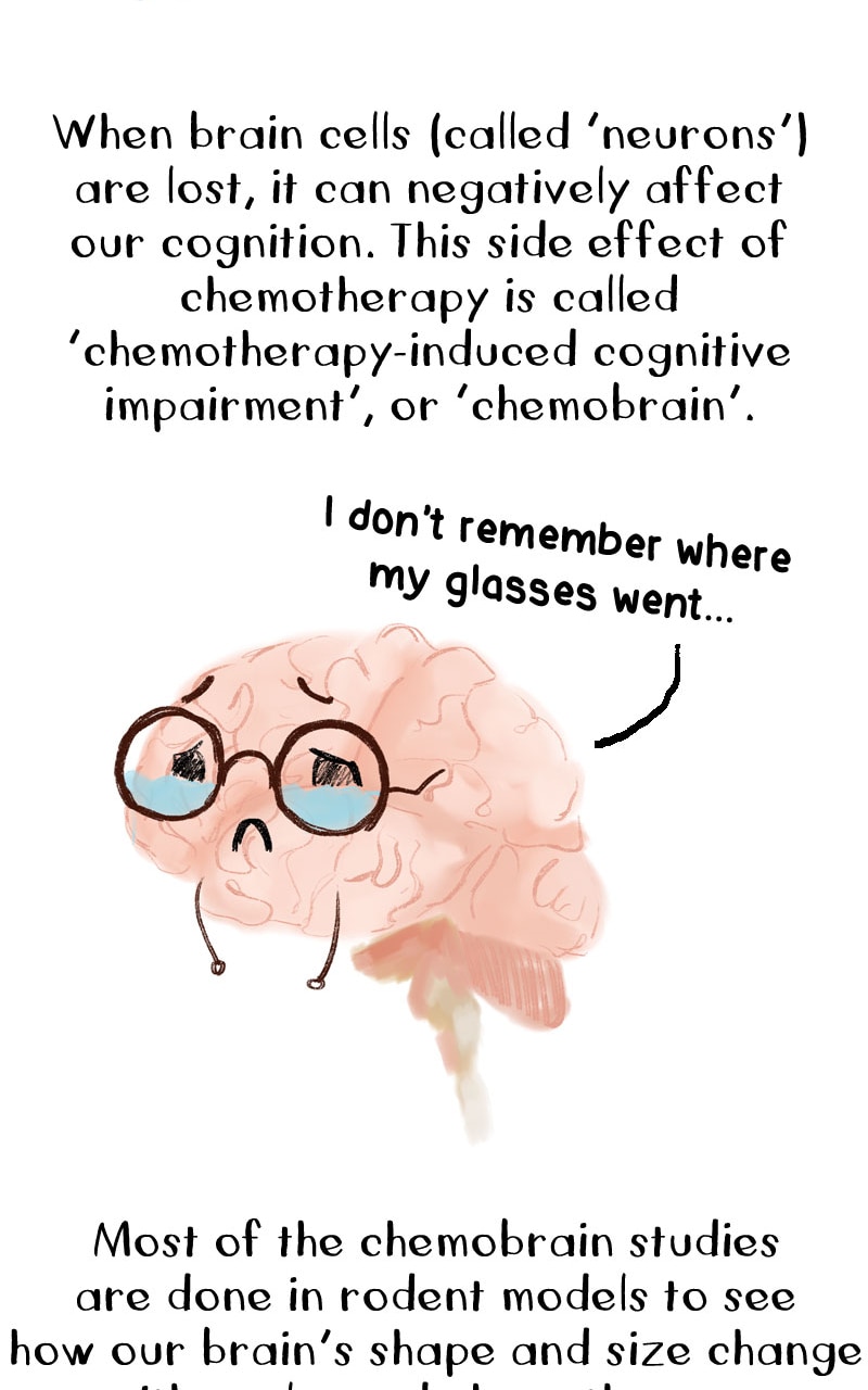 Read Cancer Decoded: Spotlight :: Chemobrain | Tapas Comics