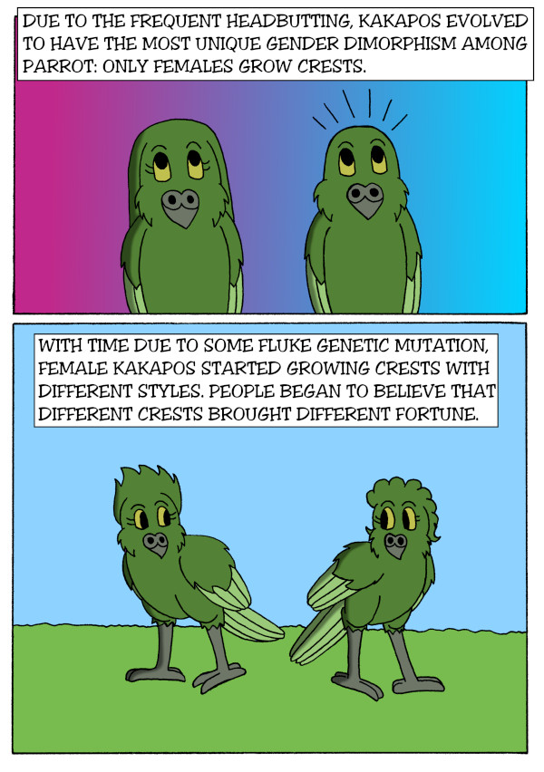 Read Word is the Bird :: Evolution of the Kakapo | Tapas Community