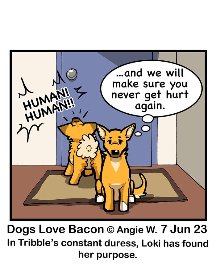 Read Dogs Love Bacon :: #132: Purpose | Tapas Comics