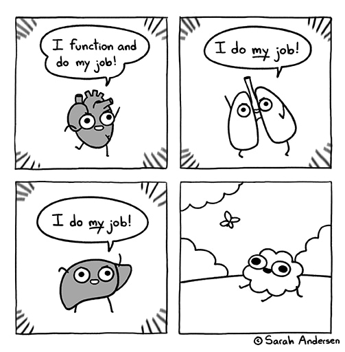 Read Sarah's Scribbles :: Brain Function | Tapas Community