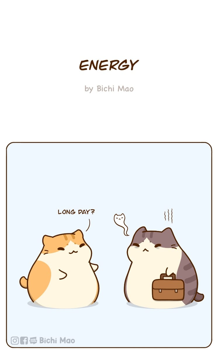 Read Bichi Mao :: Energy | Tapas Community