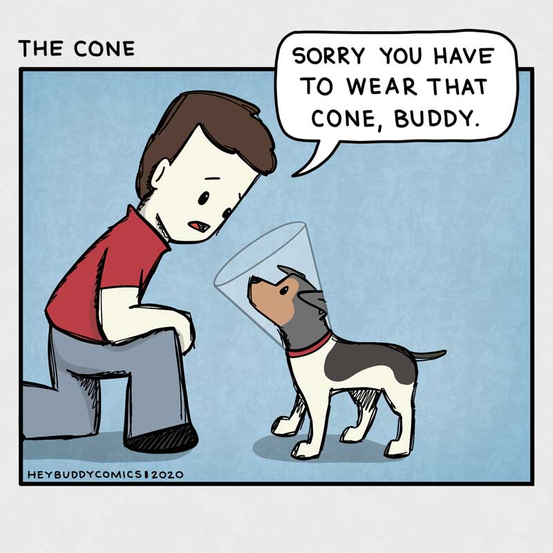 Read Hey Buddy Comics :: The cone | Tapas Community