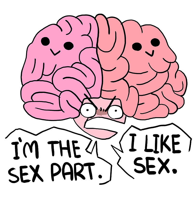 Read Shen Comix :: Brain Anatomy Guide | Tapas Comics