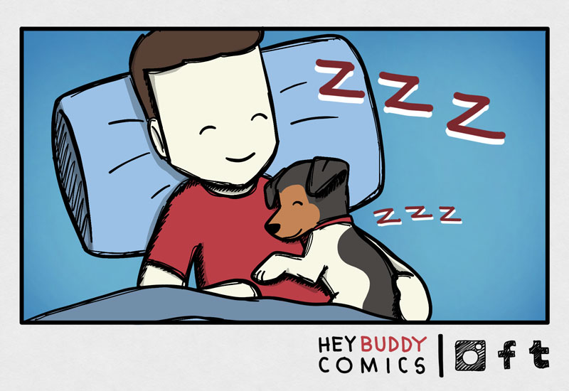 Read Hey Buddy Comics :: Sleep | Tapas Community