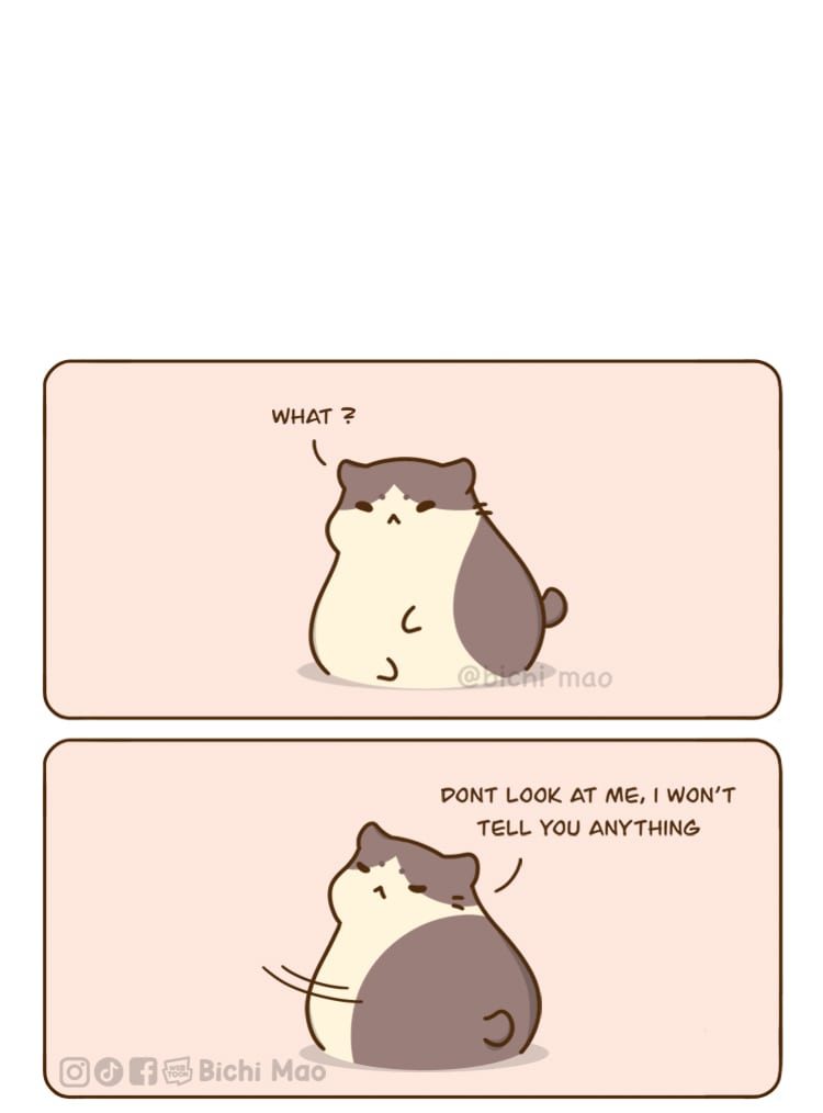 Read Bichi Mao :: Secret | Tapas Community