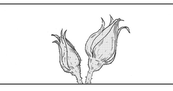 Read Delirium :: 03 | Tapas Community