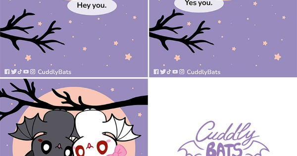 Read Cuddly Bats :: Message for you