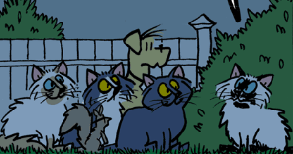 Read Smith :: Partay | Tapas Community