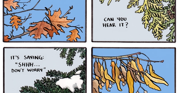 Read FalseKnees :: Shade-Throwing Trees | Tapas Community
