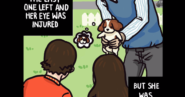 Read Life of Poppy :: Adoption Page 2 | Tapas Community