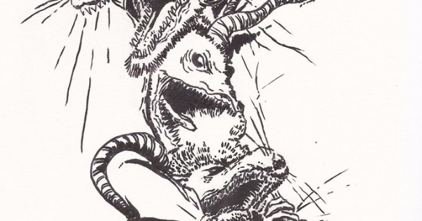 Read RANDOM DRAWINGS :: musophobia | Tapas Community