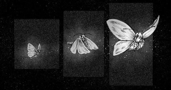 Read Skeleton's Curse :: Chapter 3 P33 - P36 | Tapas Community