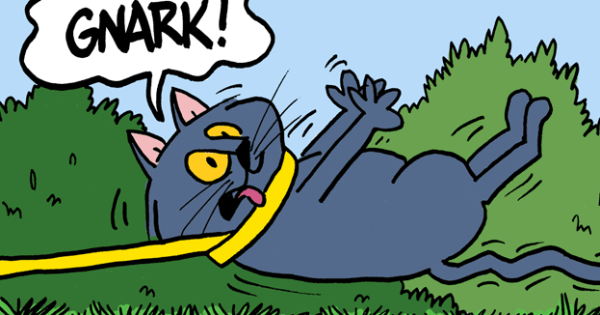 Read Smith :: Gnark! | Tapas Community