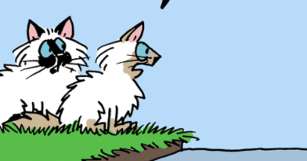 Read Smith :: Return of the punt | Tapas Community