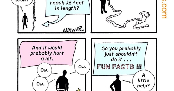 Read Big Fat Comics :: Fun facts! | Tapas Comics