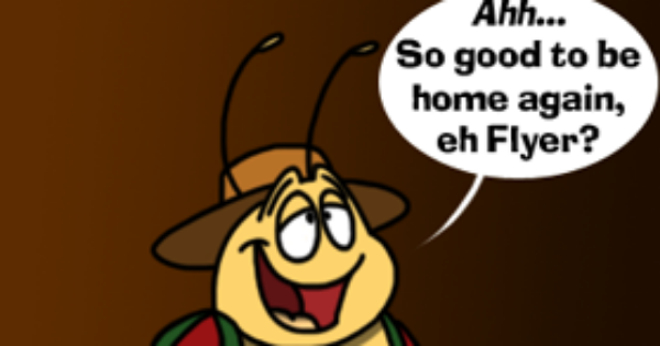 Read Bob & Flyer :: Flashback Friday: Fly Lag | Tapas Community