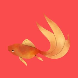 Read Fish :: Fish Apologizes | Tapas Community