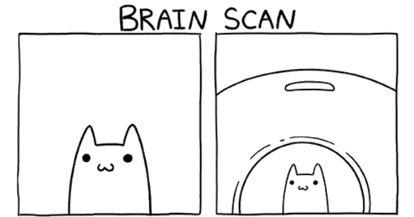 Read Sarah's Scribbles :: Brain Scan | Tapas Community