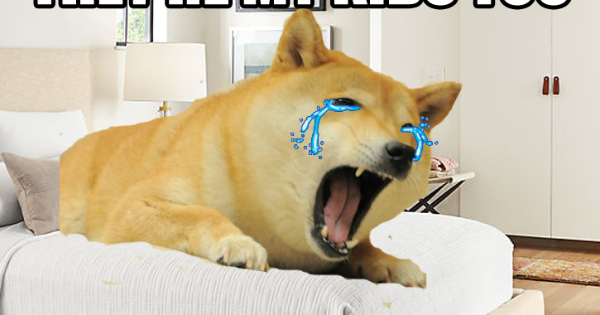 Read Doge's search for the kids :: Episode 2 | Tapas Community