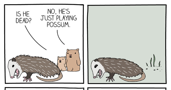 Read Puddlemunch :: Possum | Tapas Community