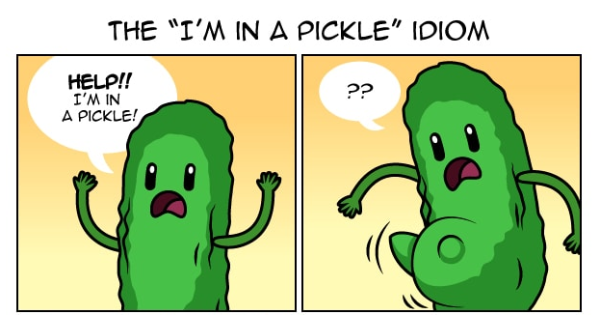Read Bacon Strips :: The "I'm in a pickle" Idiom | Tapas Community