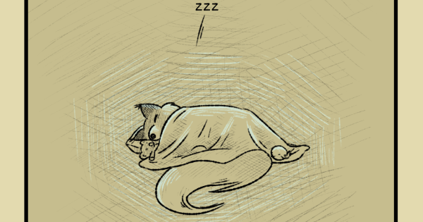 Read Super Supportive Fox :: SSF 65 | Tapas Community