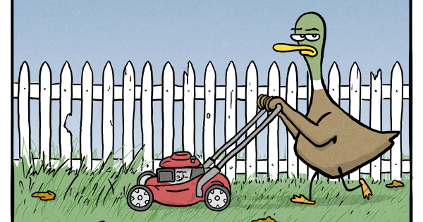 Read Fowl Language Comics :: Backyard Sanctuary | Tapas Community