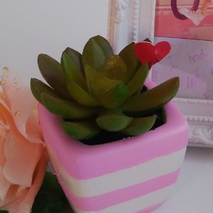 Read The Flower Pot :: Contest & Giveaway! | Tapas Community